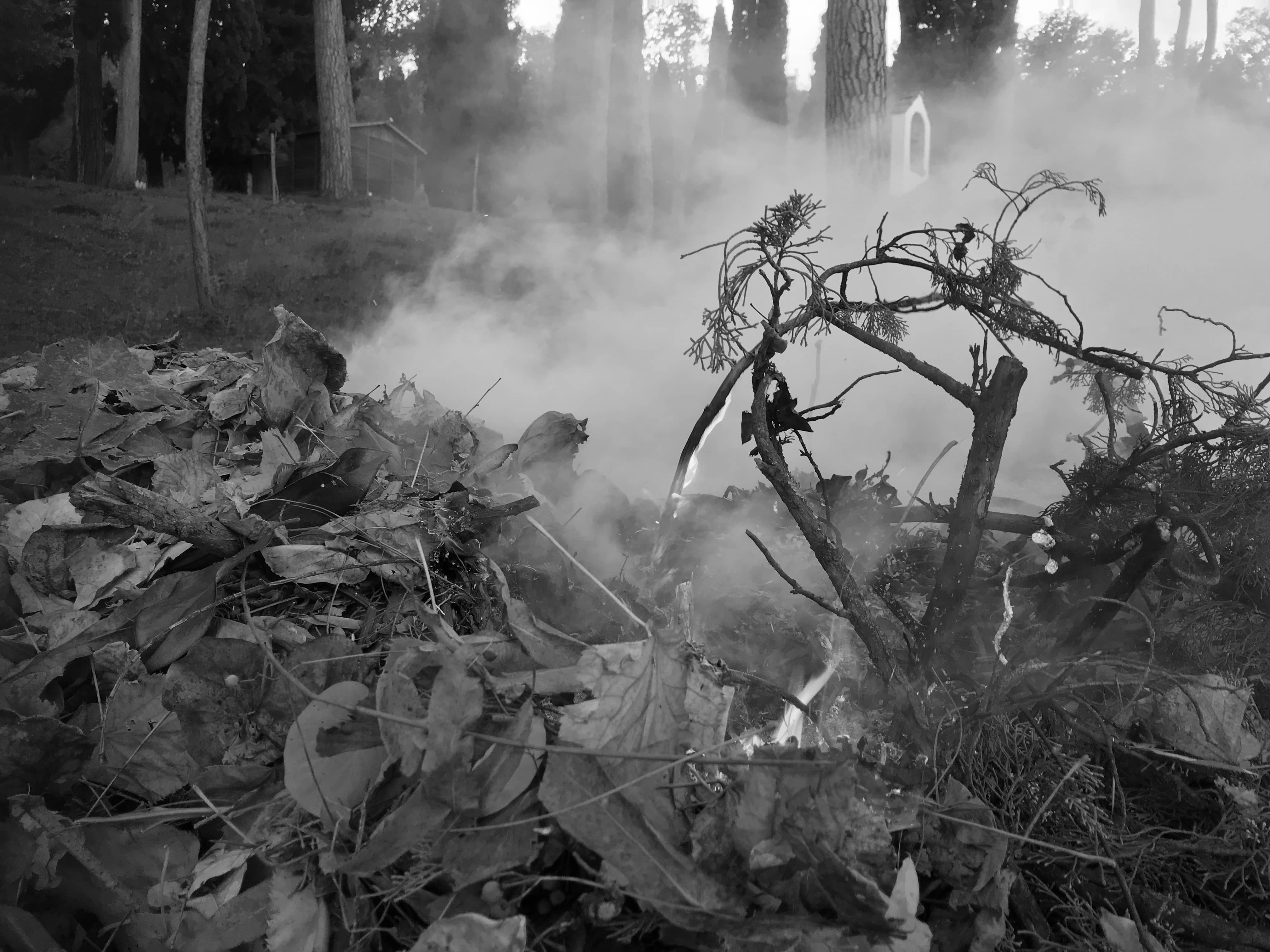 HANNAH | Roberto Paci Dalò - Emilia Romagna Teatro Fondazione